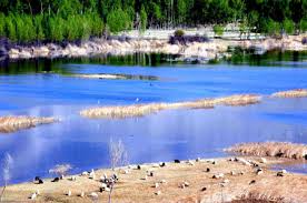 Breathtaking scenes | The wonderful world around us