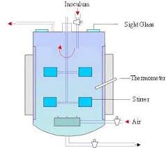 Bioreactor Design | วิชาสอนของ อ. เจริญ