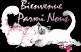 Bonjour - Salut - Coucou