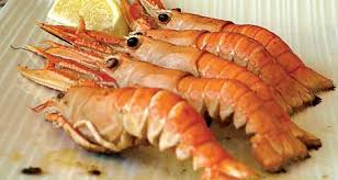 English Exercises: Food(starters,meat, fish and seafood)